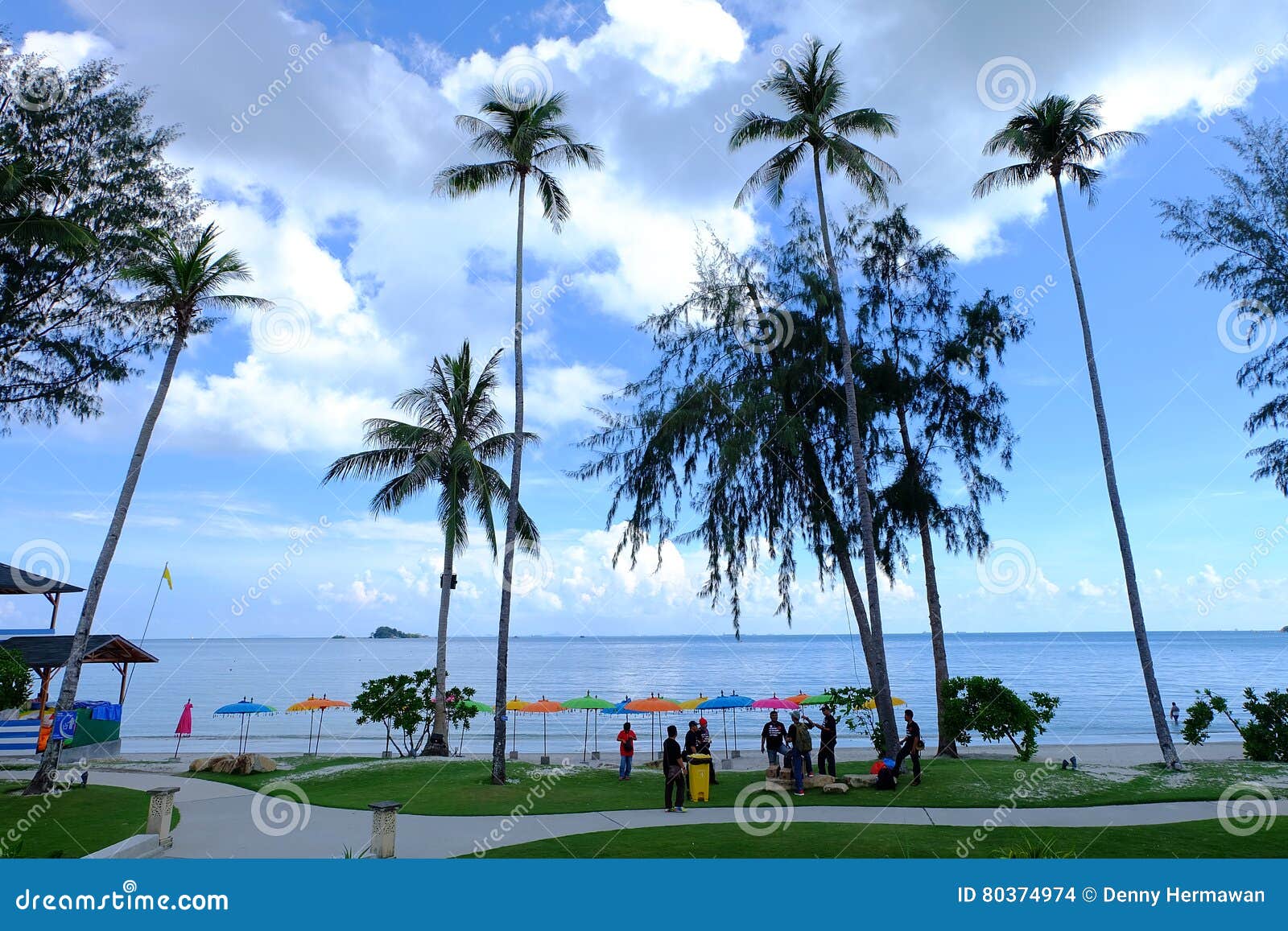 Landscape Resort Tree at the Beach Editorial Stock Image - Image of ...