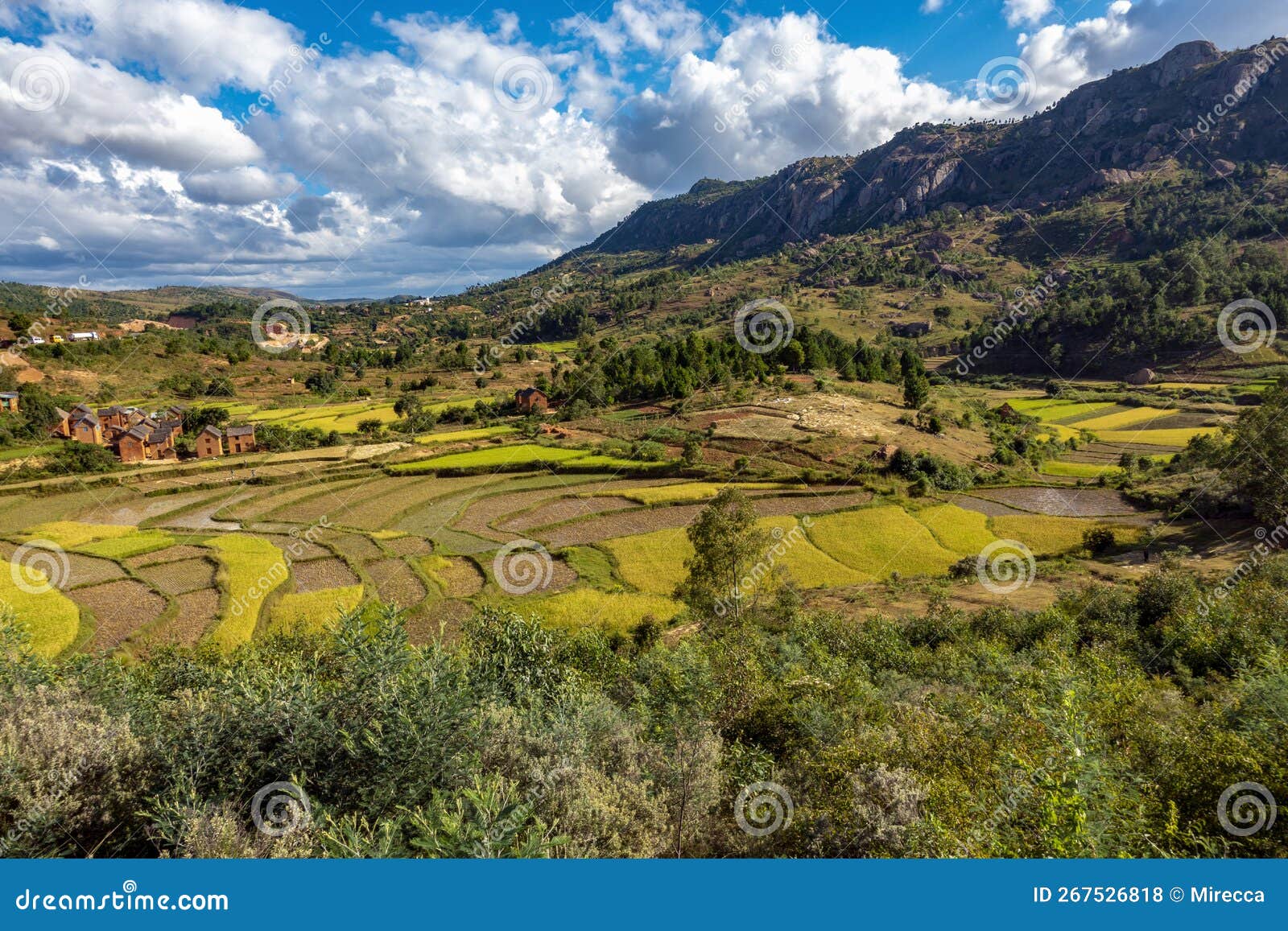 Landscape with Rice Fields in Central Madagascar Stock Photo - Image of ...