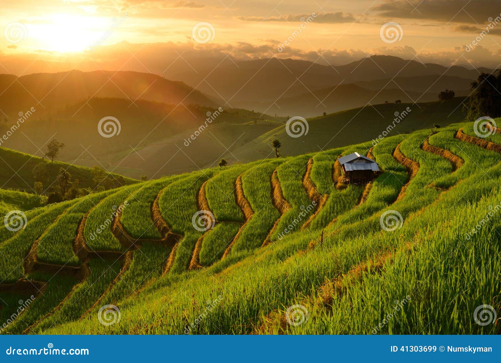 Landscape of Rice Terraces stock image. Image of nature - 41303699