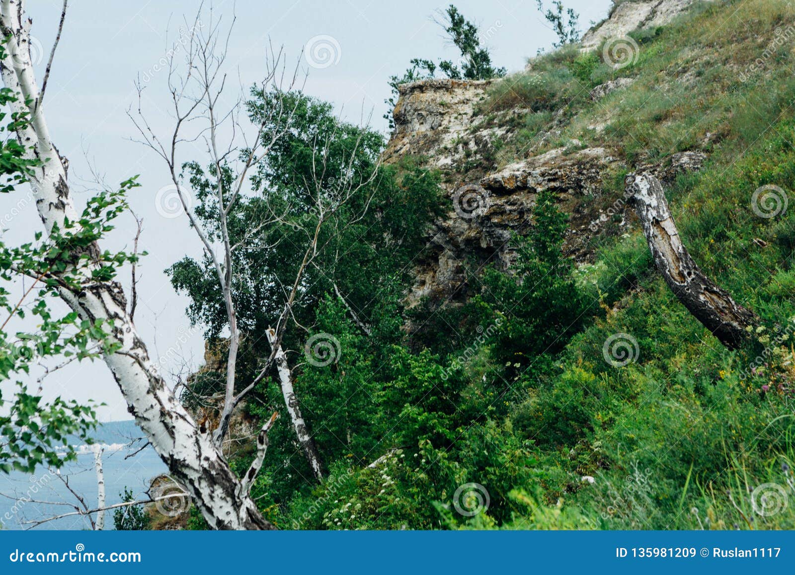 Landscape River Cliff Grass on the Sky Background Stock Image - Image ...
