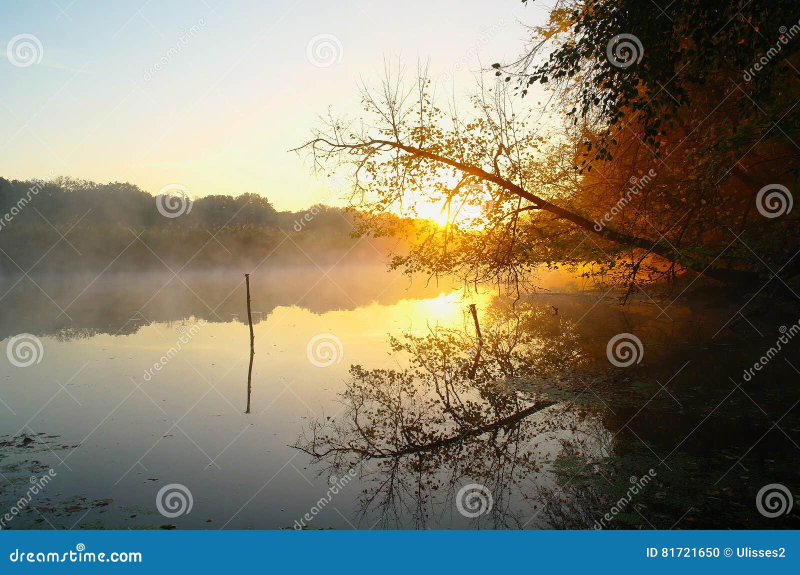 Landscape with River at Early Morning Time Stock Photo - Image of ...