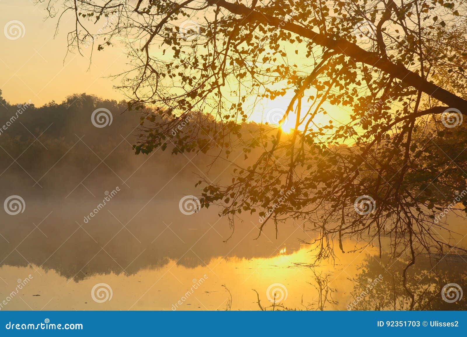 Landscape with River at Early Morning Time Stock Image - Image of ...