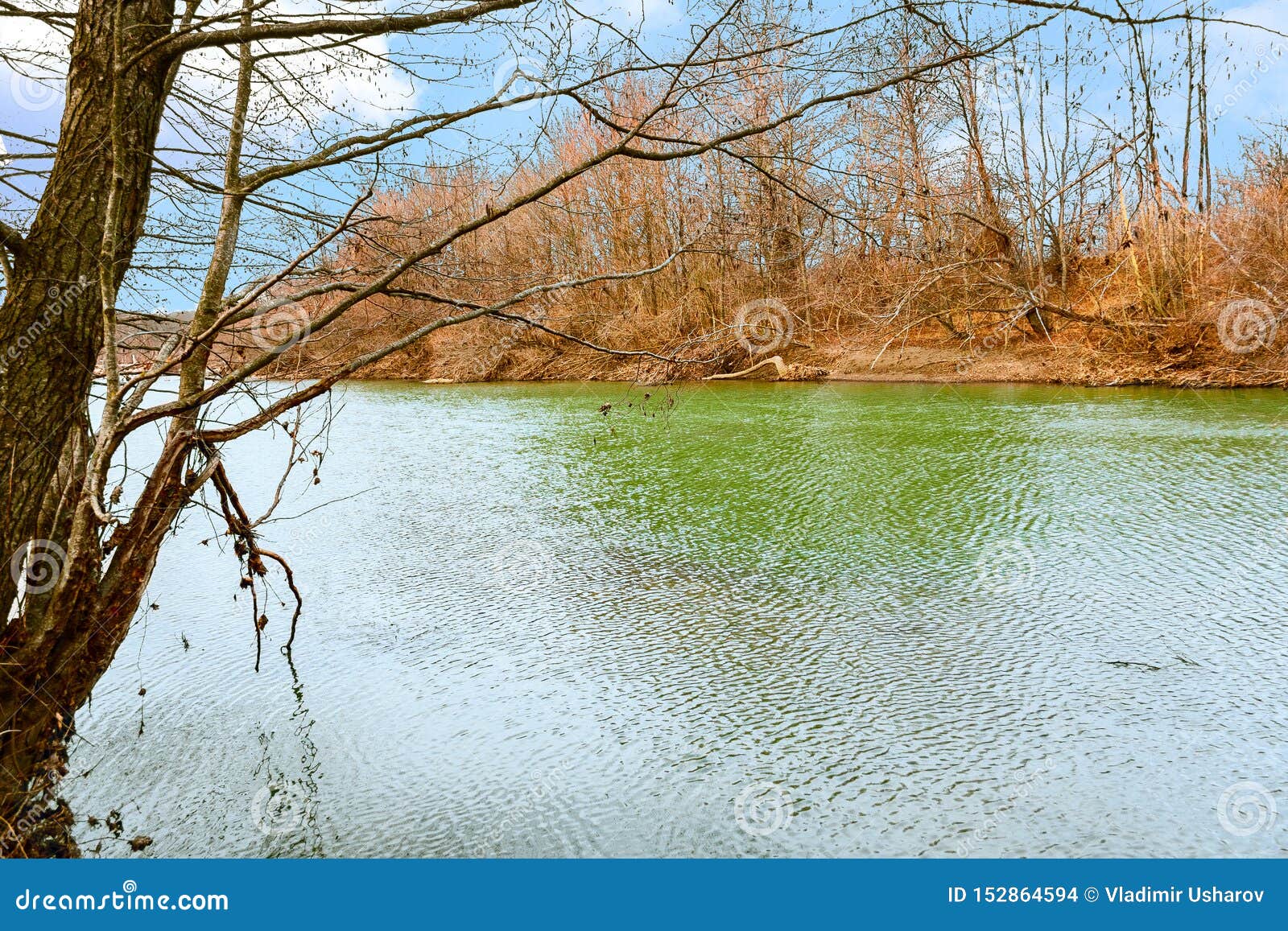 Landscape of the River in Early Spring Stock Photo - Image of forest ...