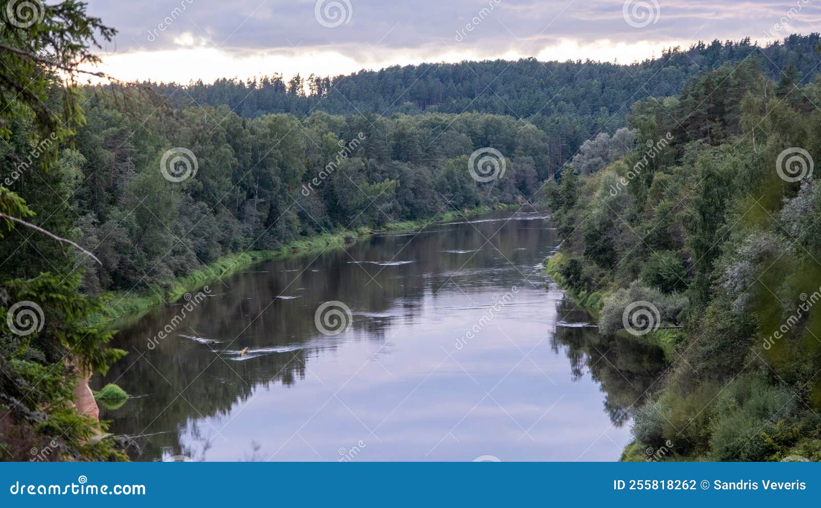 Landscape of the River Gauja in Latvia. Stock Photo - Image of river ...