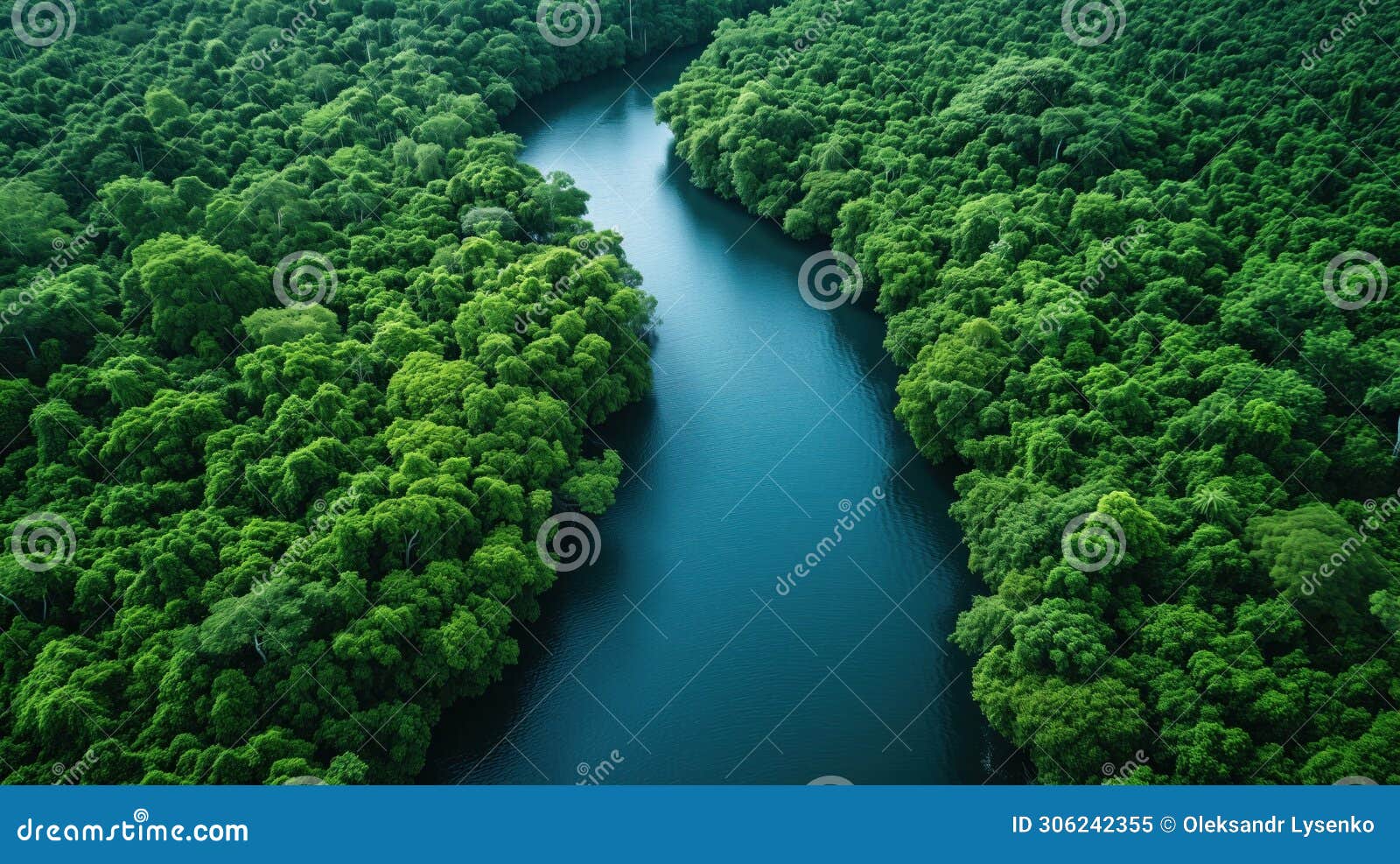 Landscape River in the Jungle Top View Stock Illustration ...