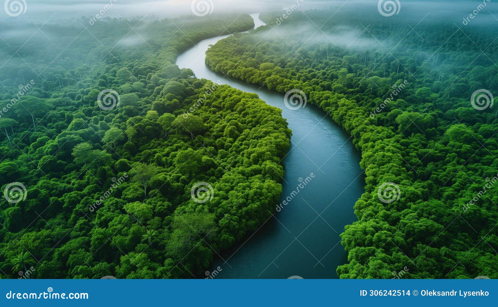 Landscape River in the Jungle Top View Stock Illustration ...