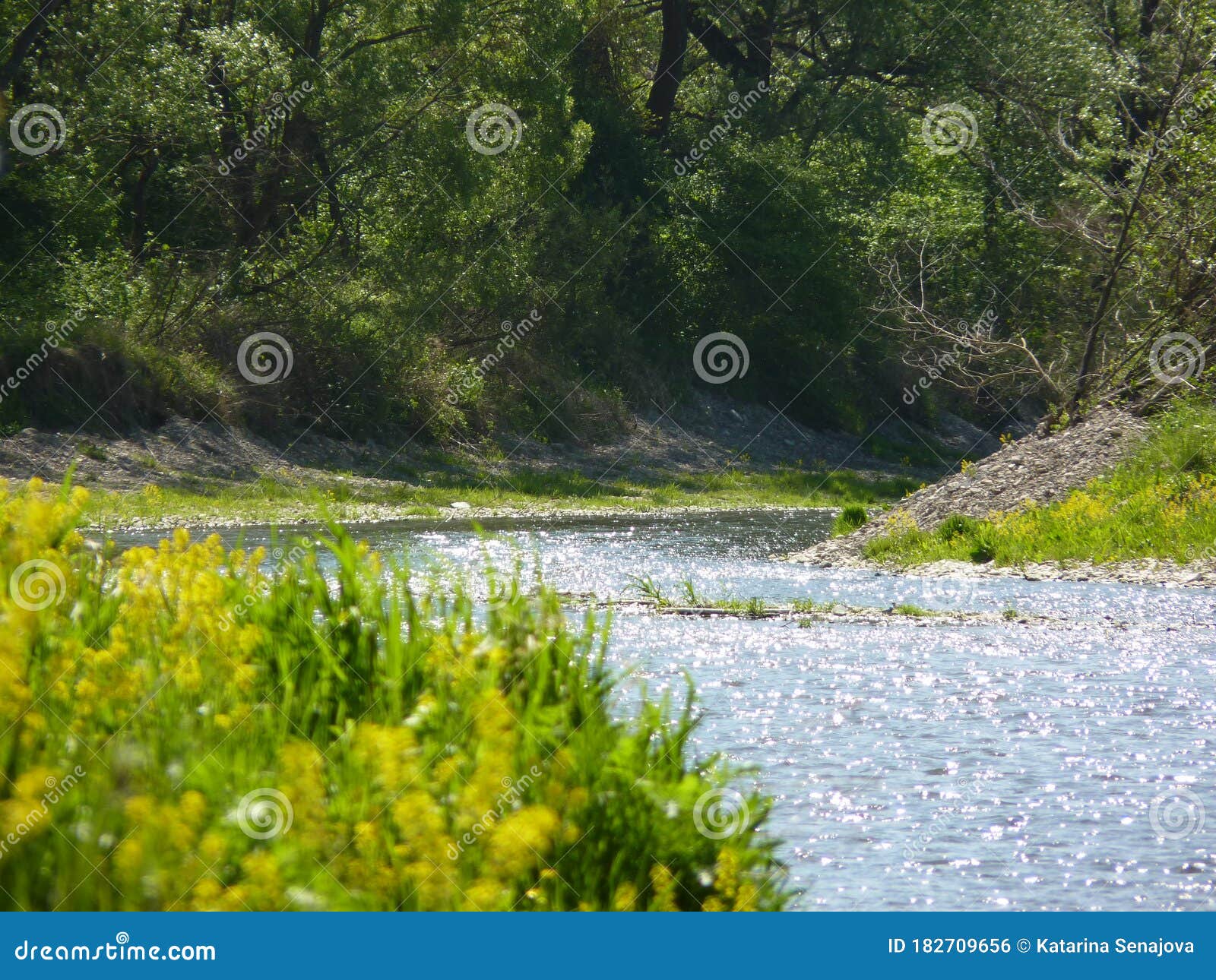 River Meander with Trees in Spring Stock Photo - Image of gorge ...