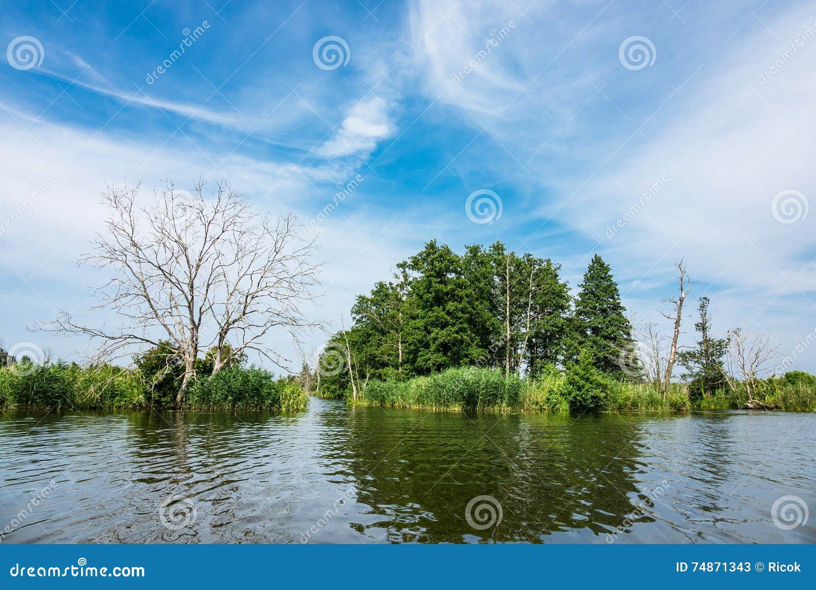 Landscape on the River Peene Near Loitz Stock Image - Image of blue ...
