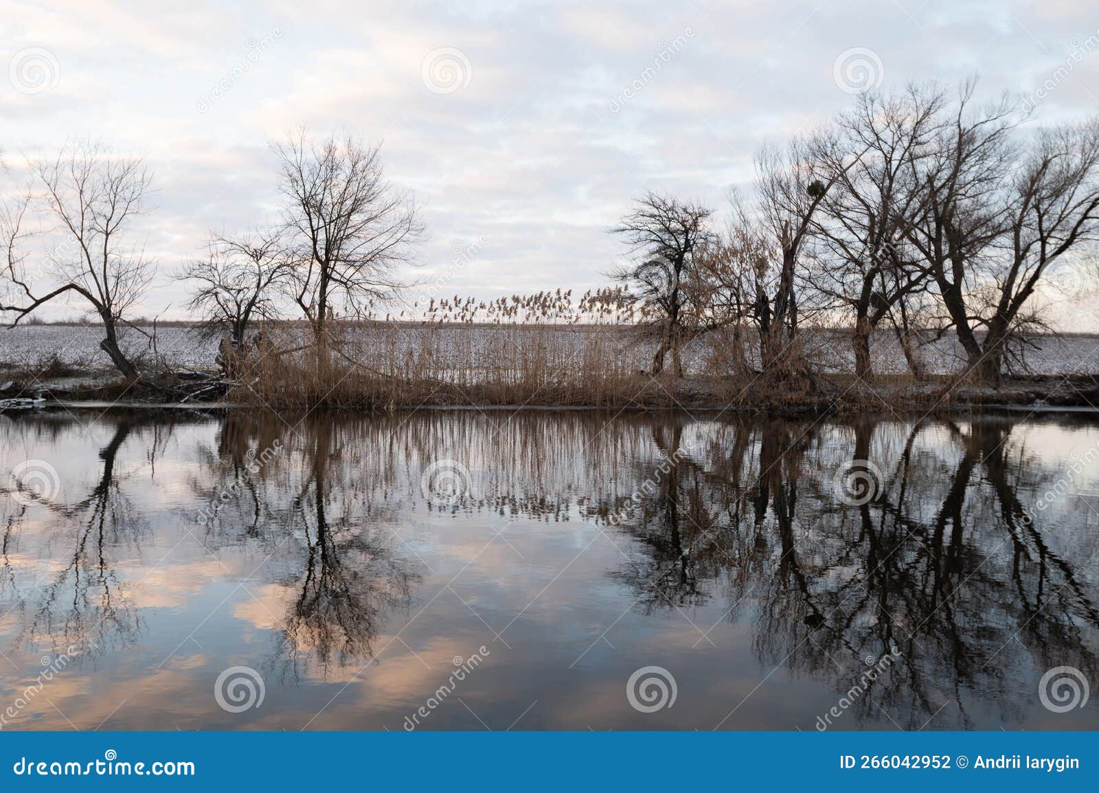Landscape of the River Reflection of Trees in Water in the Winter Stock ...