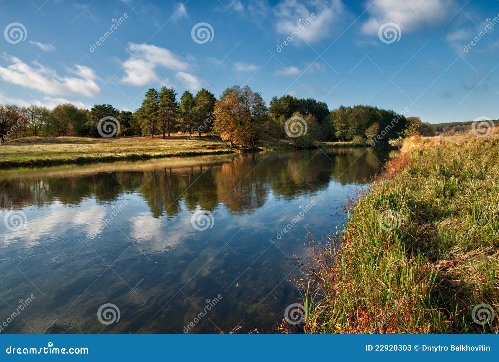 Landscape of the River with Reflections Stock Image - Image of branch ...