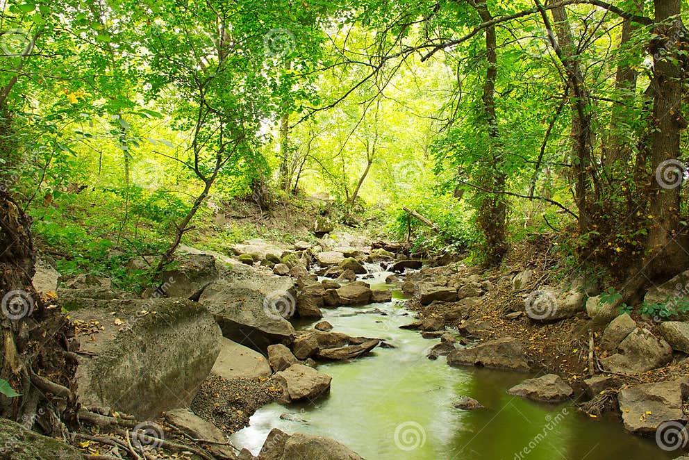 Landscape of River, Rocks and Green Trees Stock Image - Image of ...