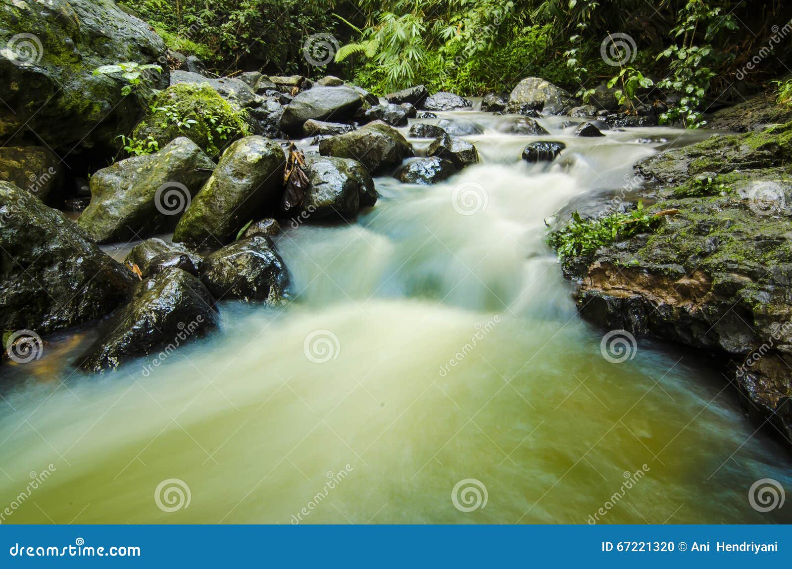 Landscape of the River with Rocks in the Jungle. Stock Photo - Image of ...