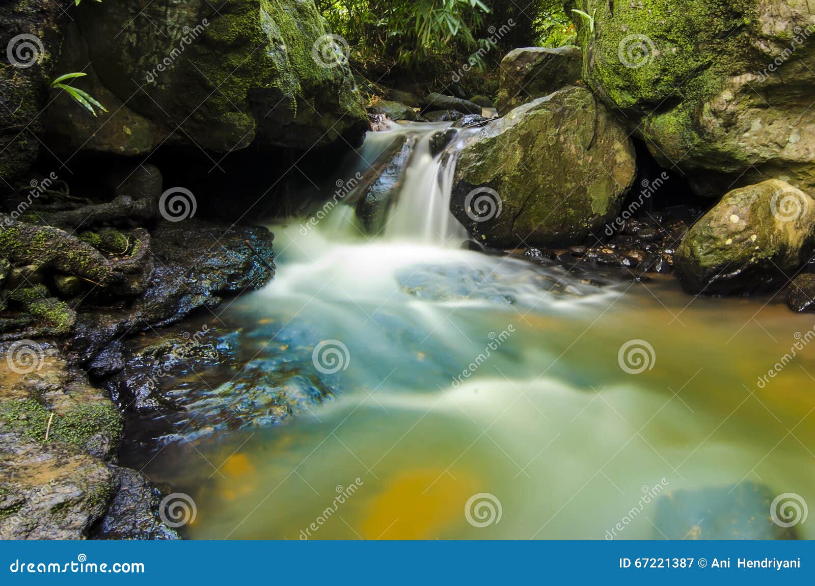 Landscape of the River with Rocks in the Jungle. Stock Image - Image of ...