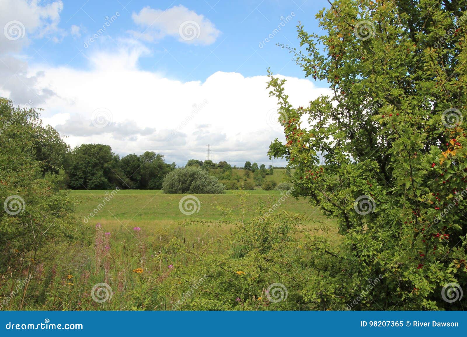 Landscape by River Rother Treeton Stock Image - Image of treeton ...