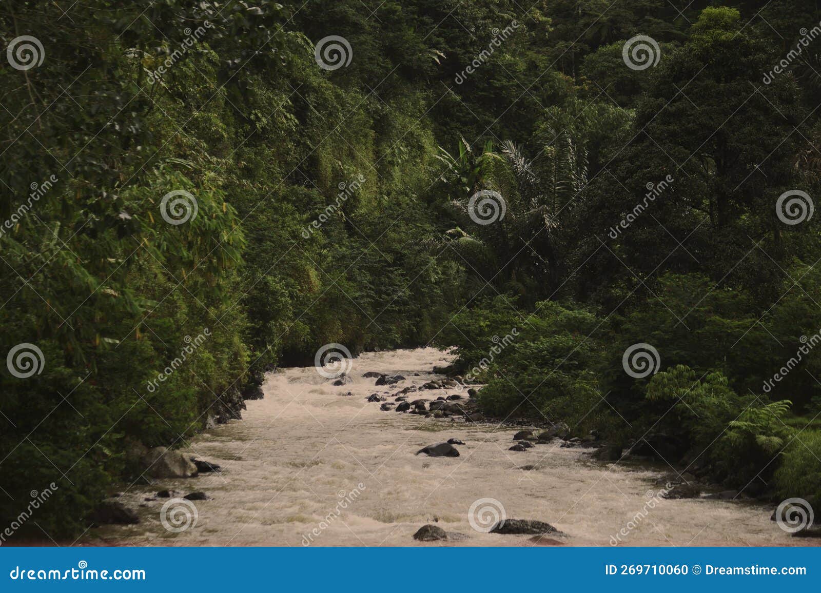 Landscape of a River Stream Stock Photo - Image of rock, water: 269710060