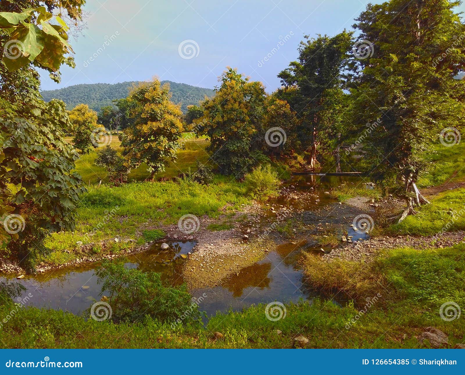 Landscape River Stream Trees Hill Stock Image - Image of river, choral ...