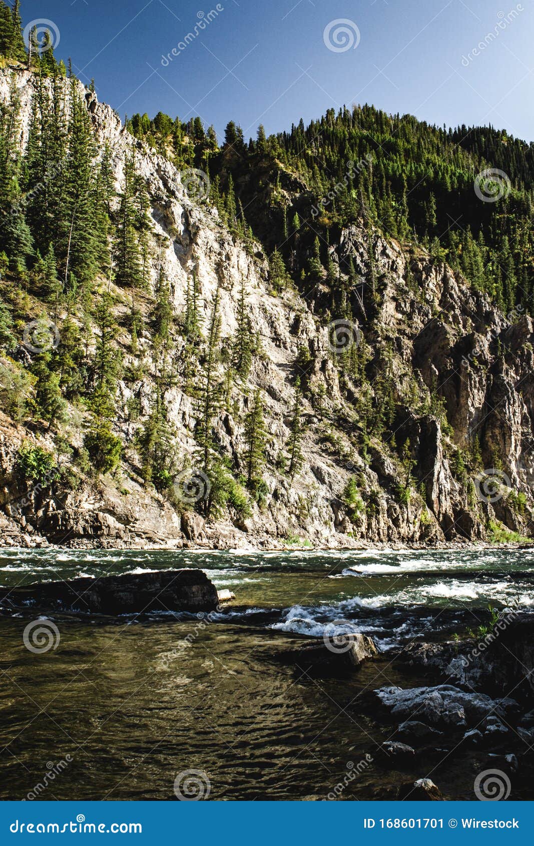 Landscape of a River Surrounded by Rocks Covered in Forests Under ...