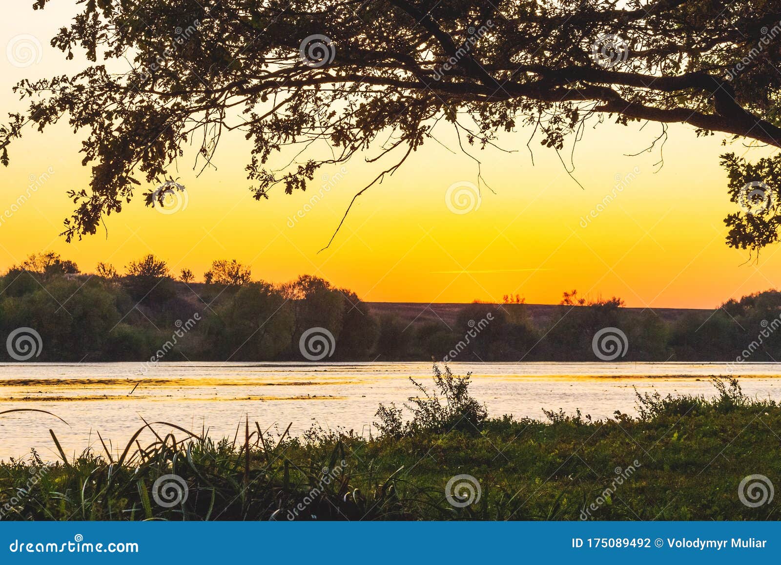 Landscape with River and Tree during Sunset_ Stock Photo - Image of ...