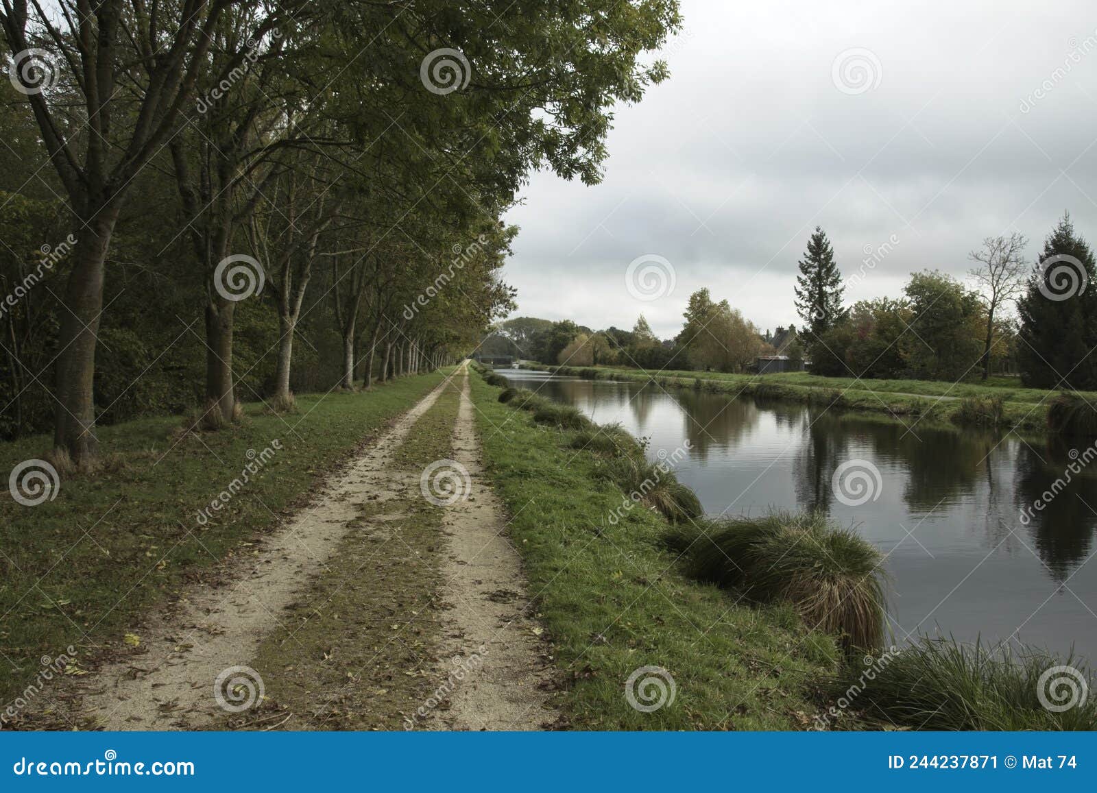 Landscape with River and Trees Stock Image - Image of tree, beautiful ...
