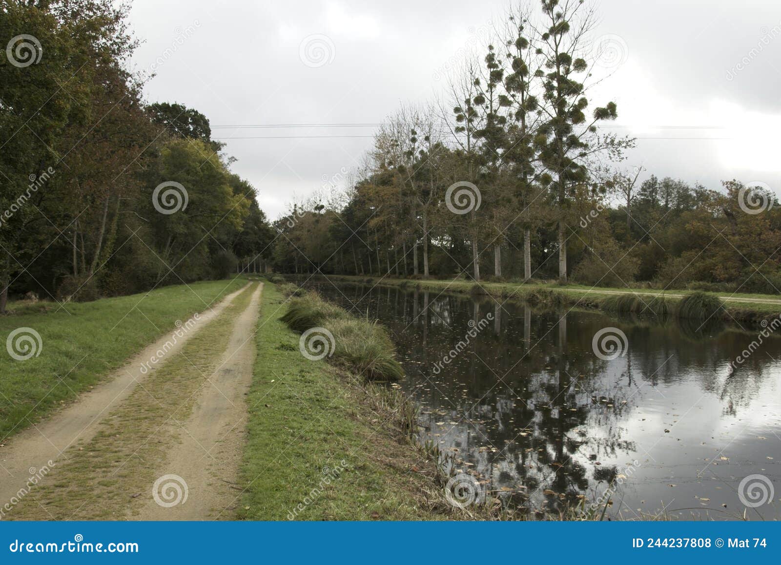 Landscape with River and Trees Stock Photo - Image of scenic ...