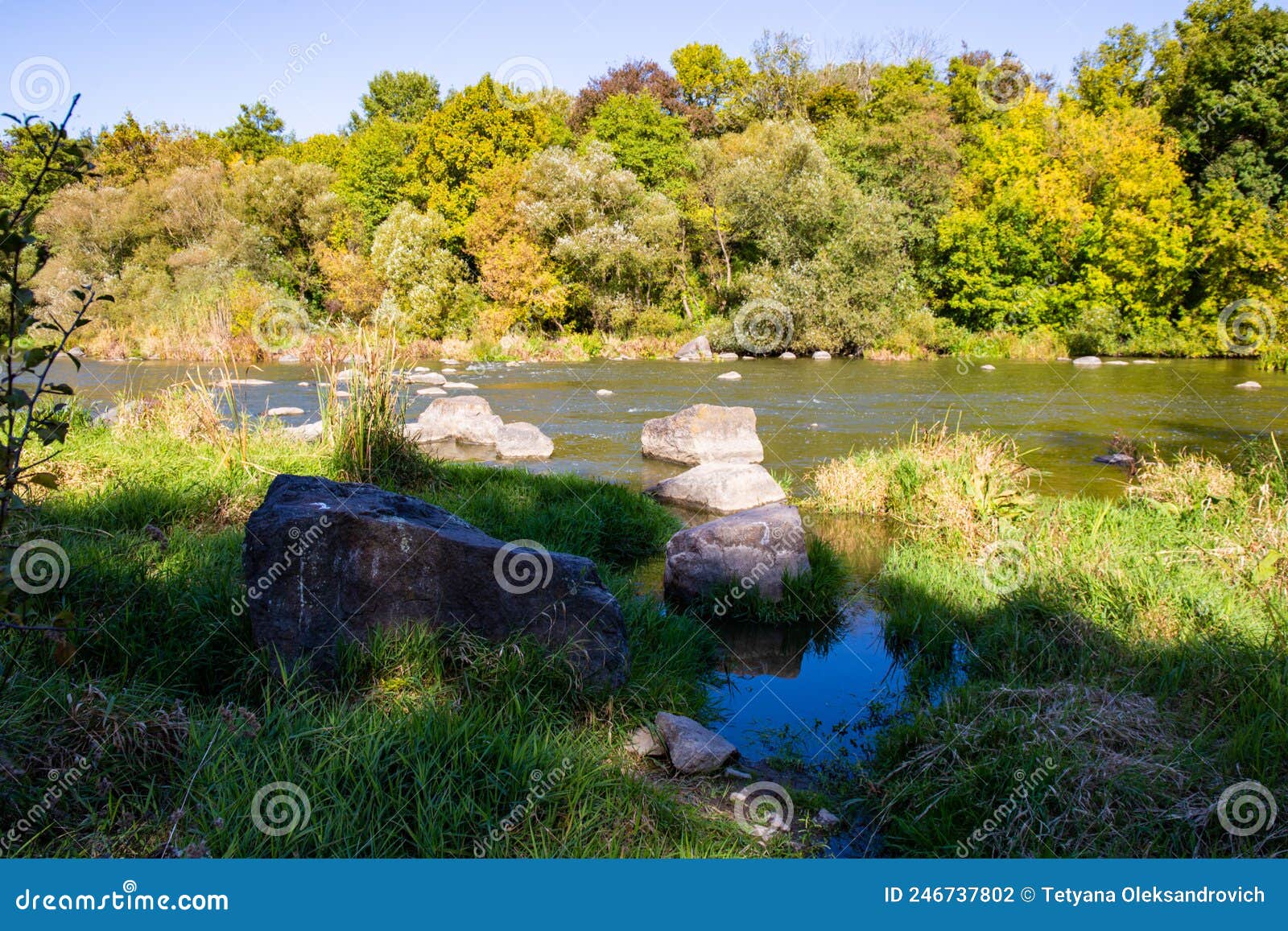 Landscape with River and Trees Stock Photo - Image of landscape, lake ...