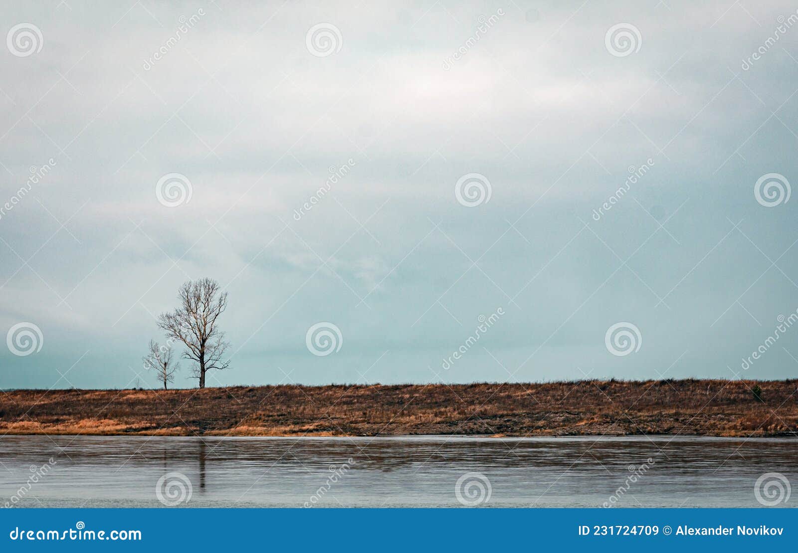 Landscape with River, Trees and Sky on the Background Stock Image ...
