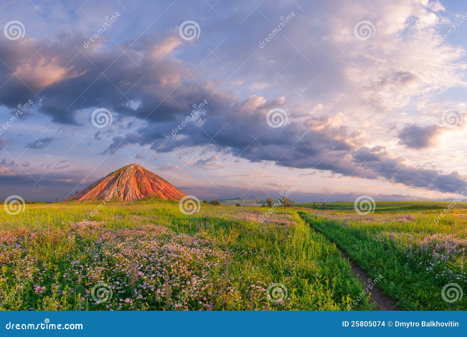 Landscape with Road in Meadow Stock Photo - Image of dawn, path: 25805074