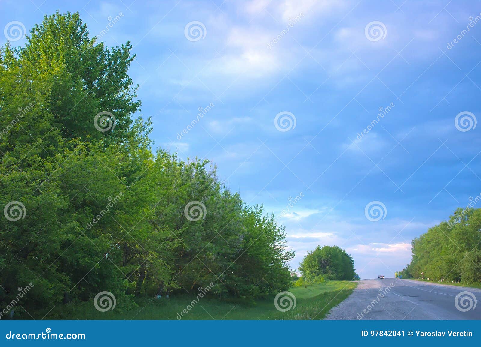 Landscape of Road Under the Trees Stock Image - Image of environment ...