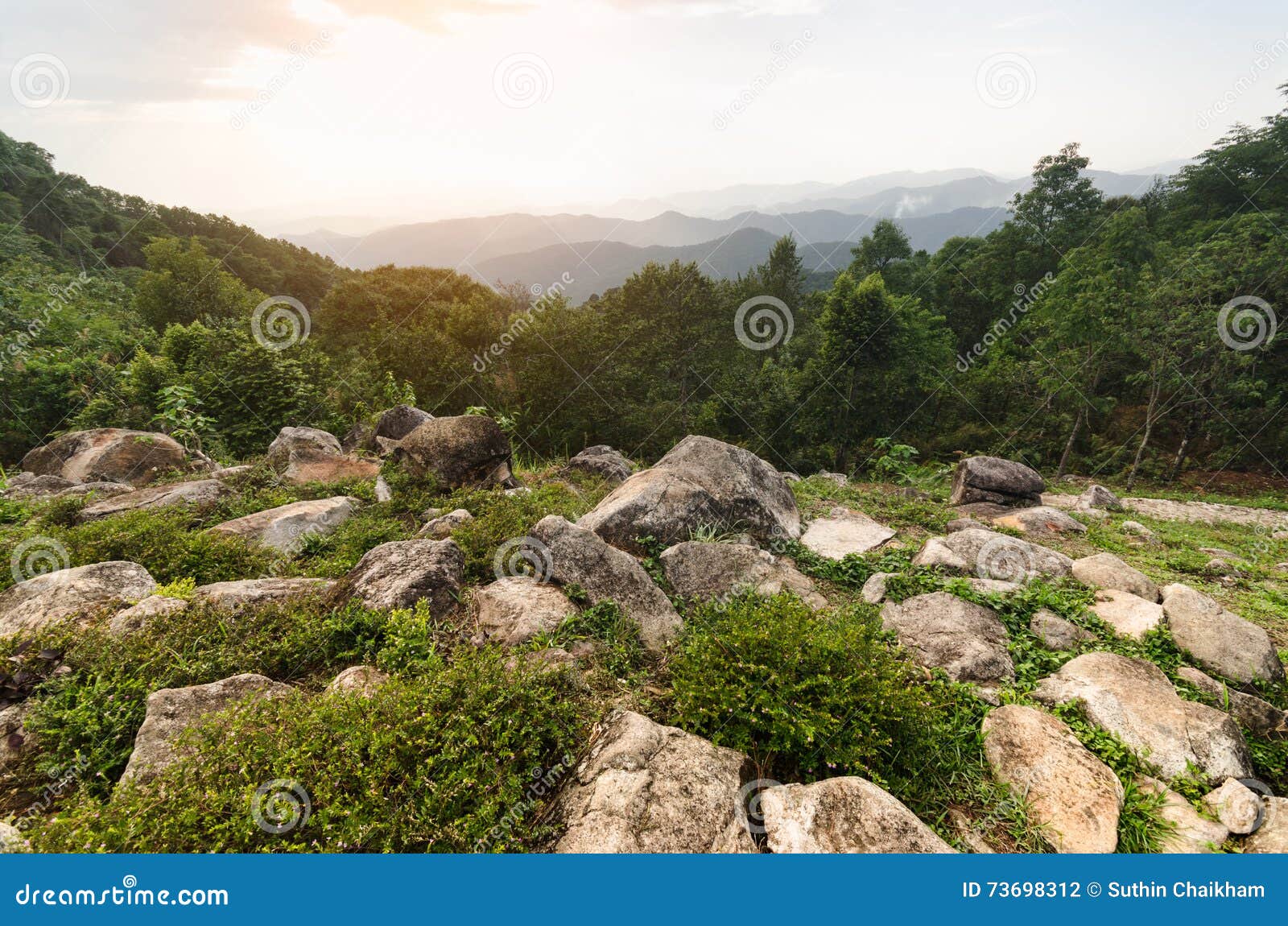 Landscape with Rock in Forest at Sunset,landscape Top View Mount Stock ...