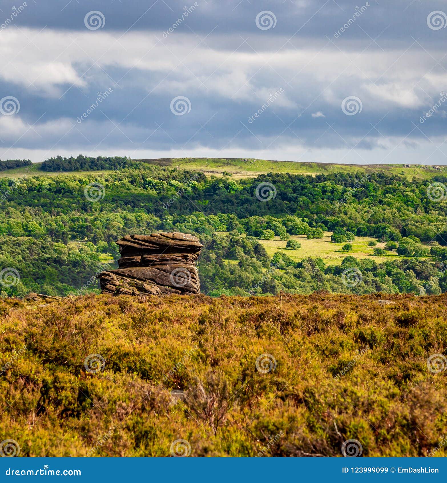 Landscape of a Rock Formation in Three Layers of Grass, Trees an Stock ...