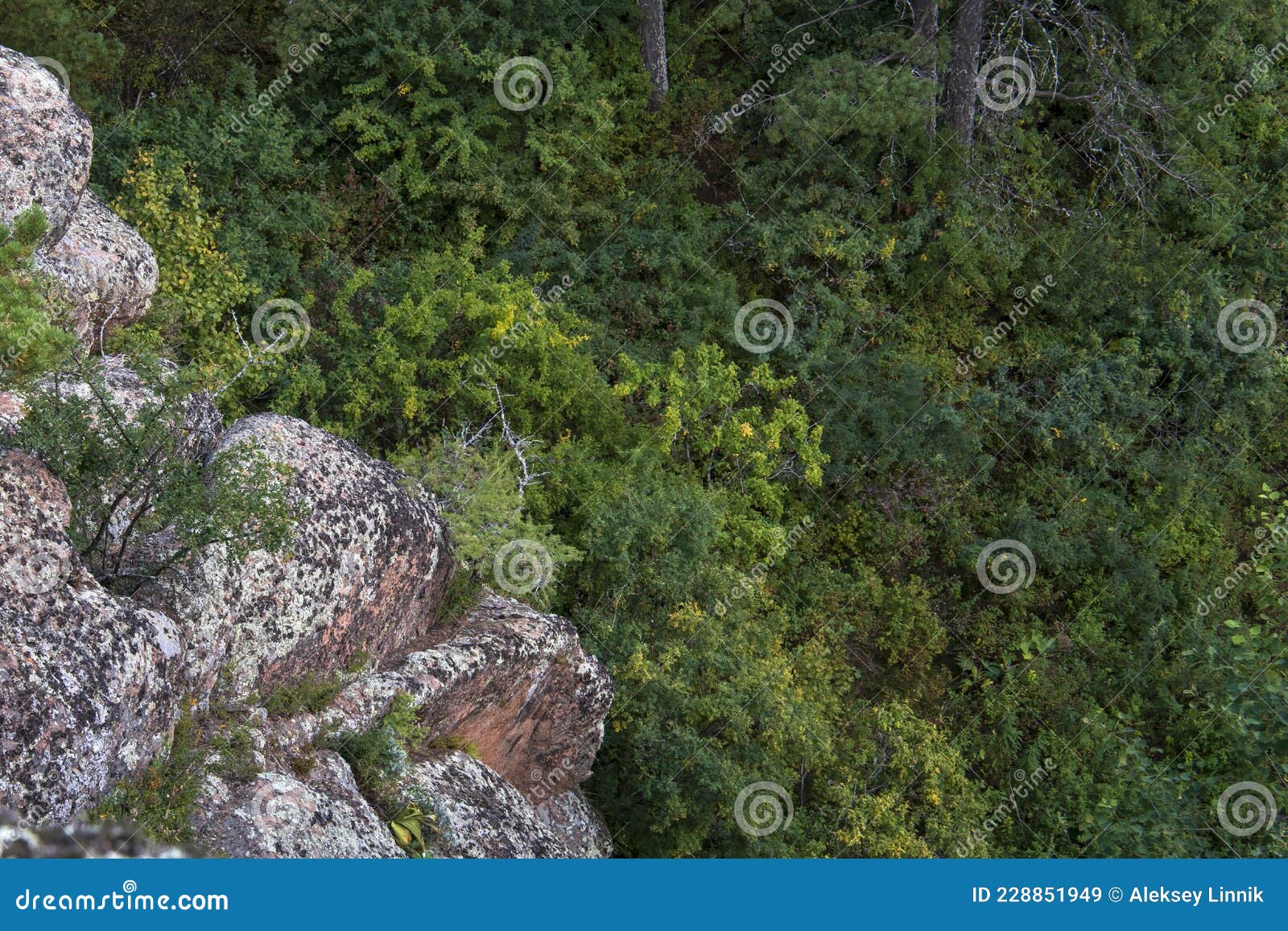 Rock massif in the forest stock image. Image of wavy - 228851949