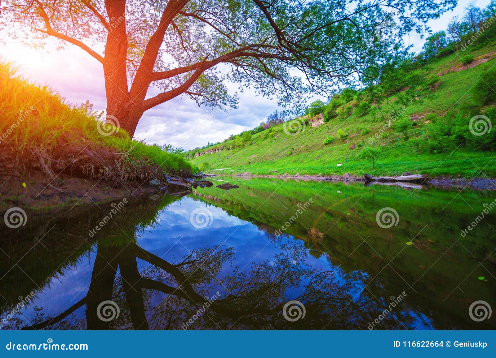 Landscape with Rock, Tree and River on Sunset Stock Photo - Image of ...