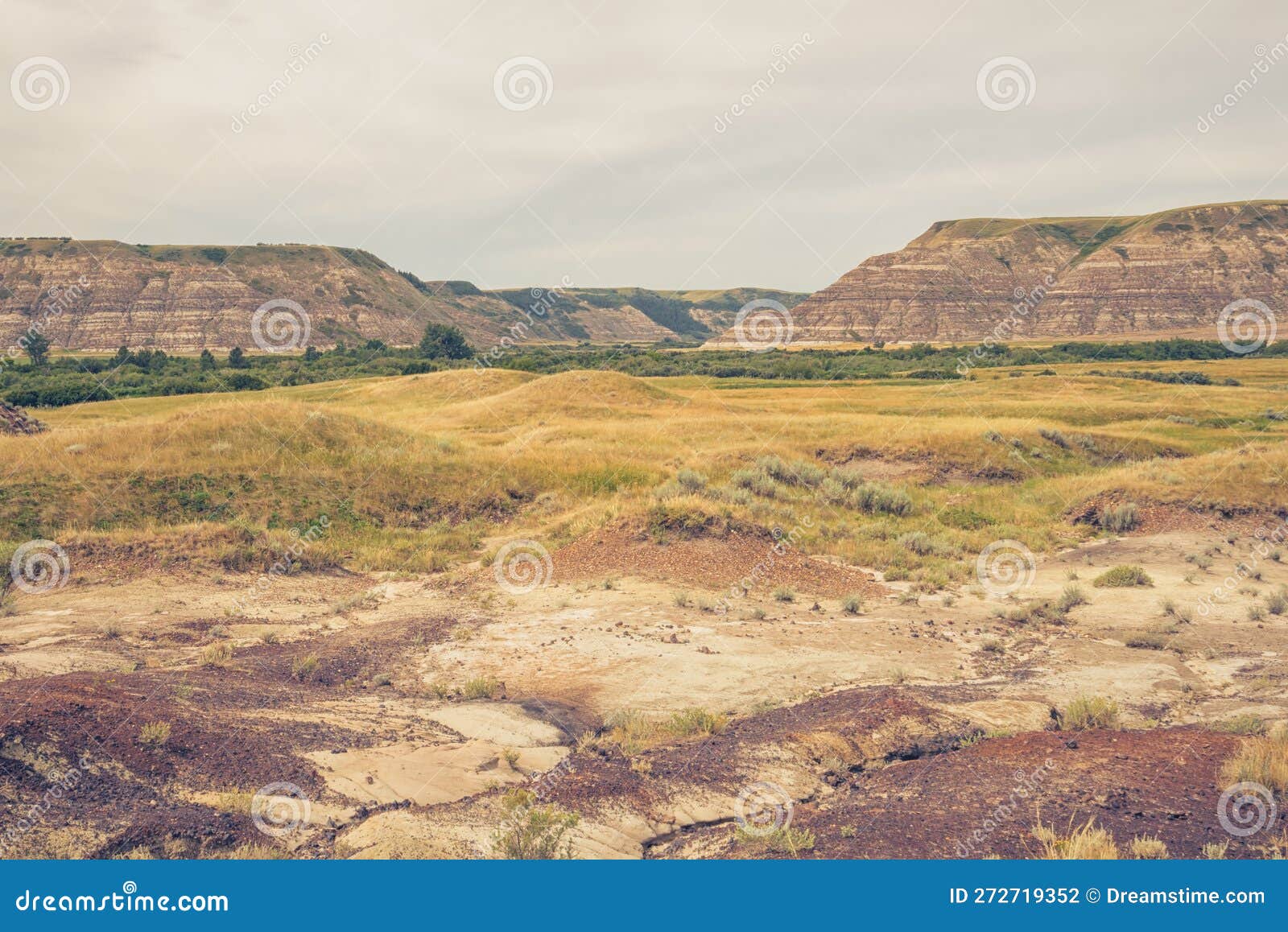 Landscape of the Rugged Terrain of the Badlands of Drumheller Stock ...