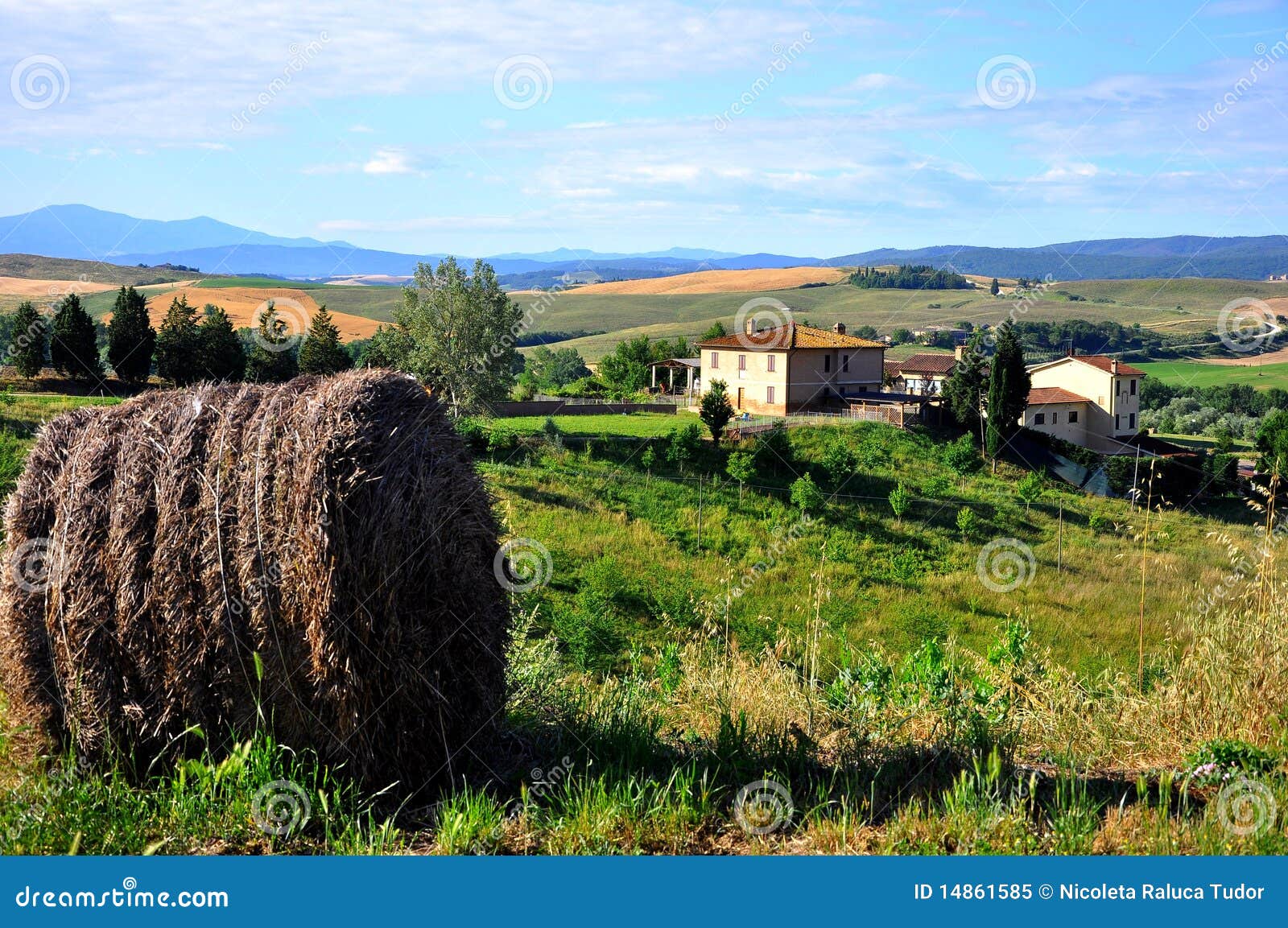 Landscape of Rural Tuscany, Italy Stock Image - Image of classical ...