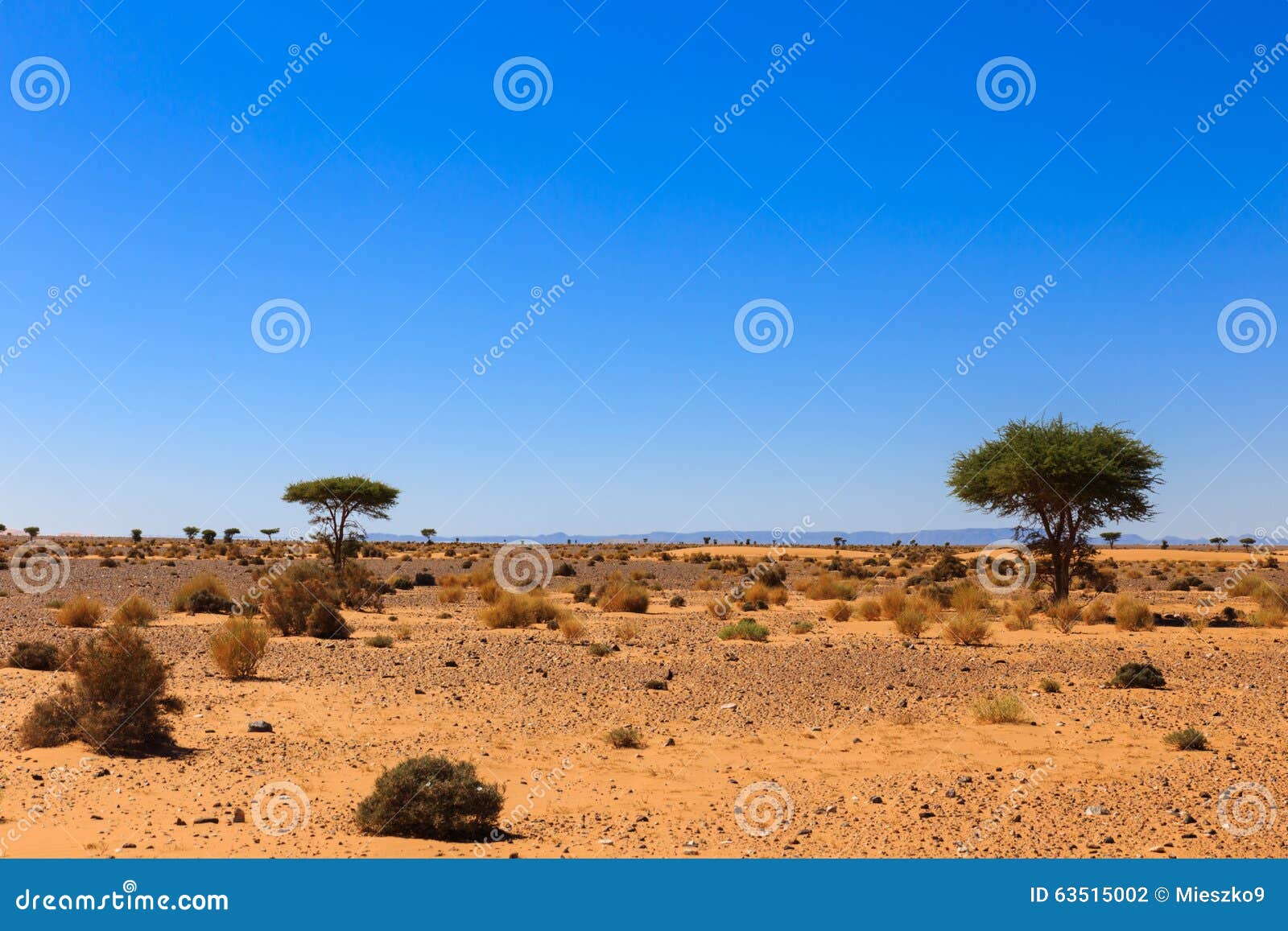 Landscape in the Sahara Desert Stock Photo - Image of fresh, ecology ...