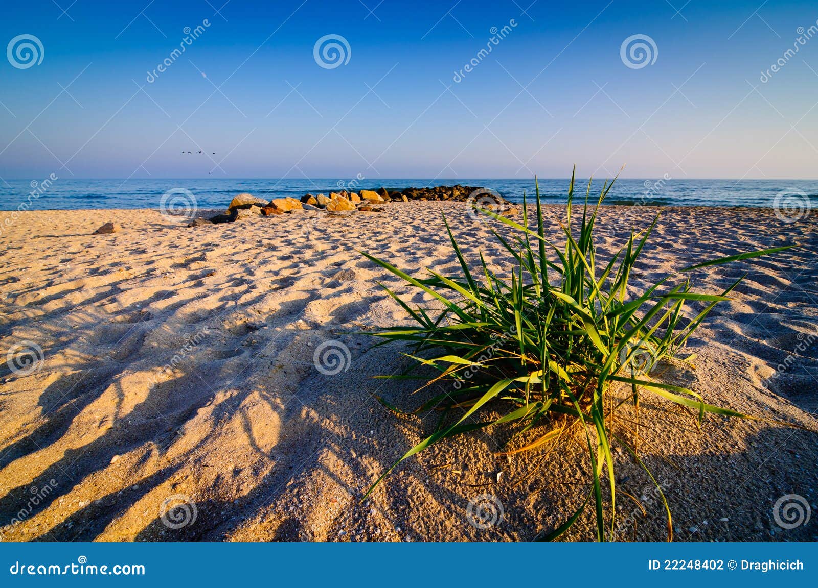 Landscape sand beach stock photo. Image of europe, landscape - 22248402