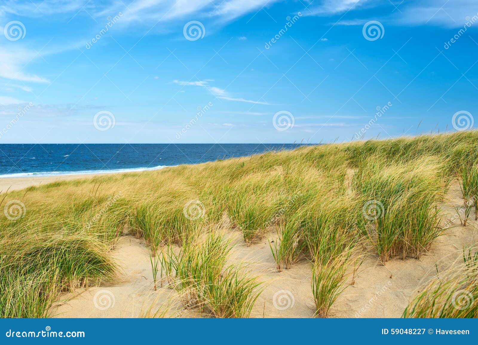 Landscape with Sand Dunes at Cape Cod Stock Image - Image of ocean ...