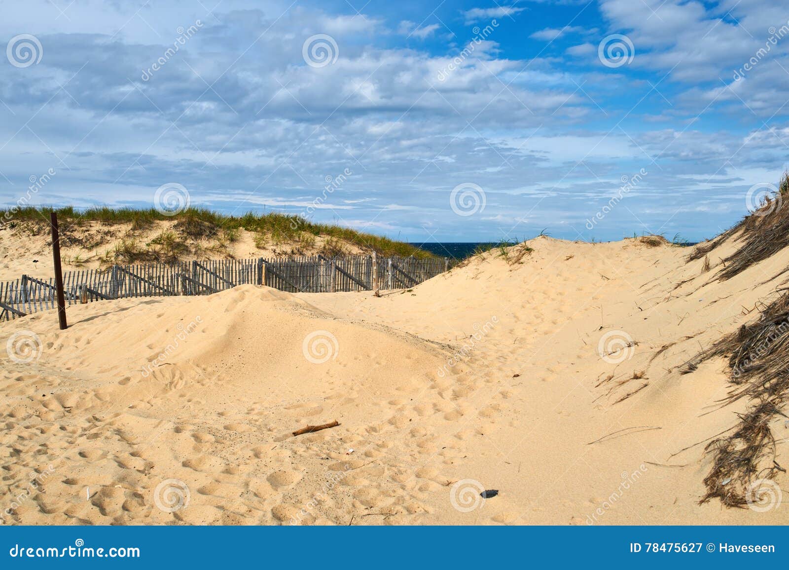Landscape with Sand Dunes at Cape Cod Stock Image - Image of blue ...