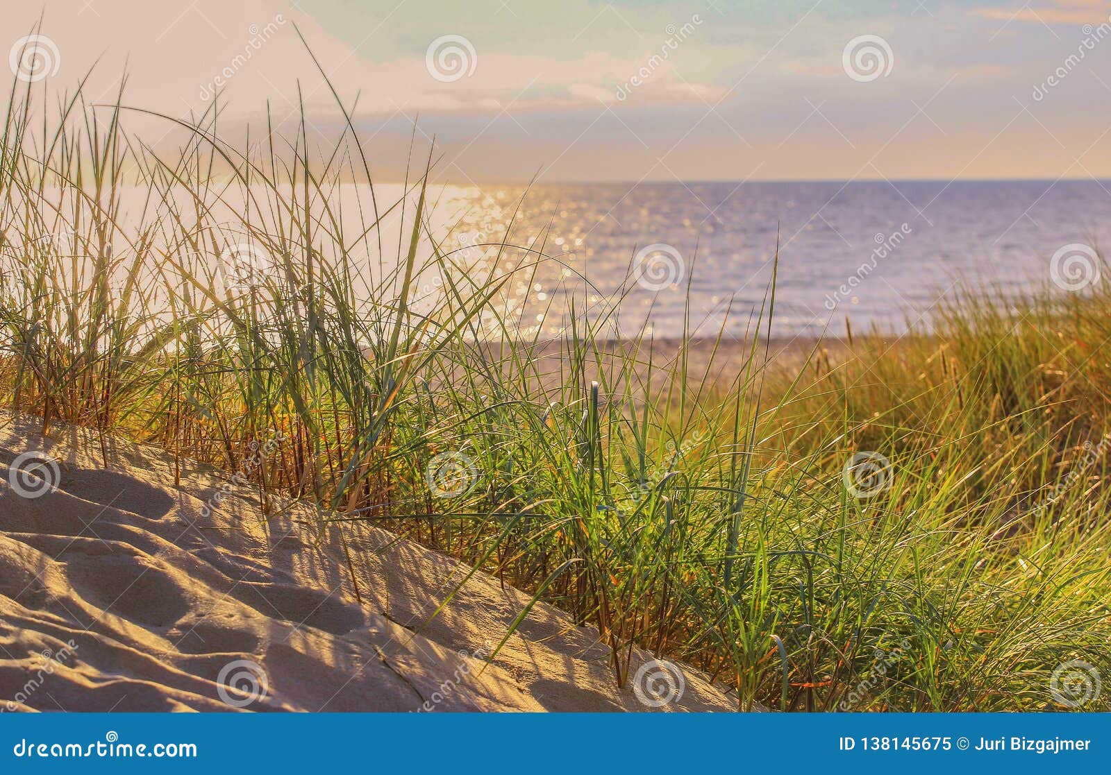 Landscape Sand Dunes with Grass on the Seafront Stock Image - Image of ...