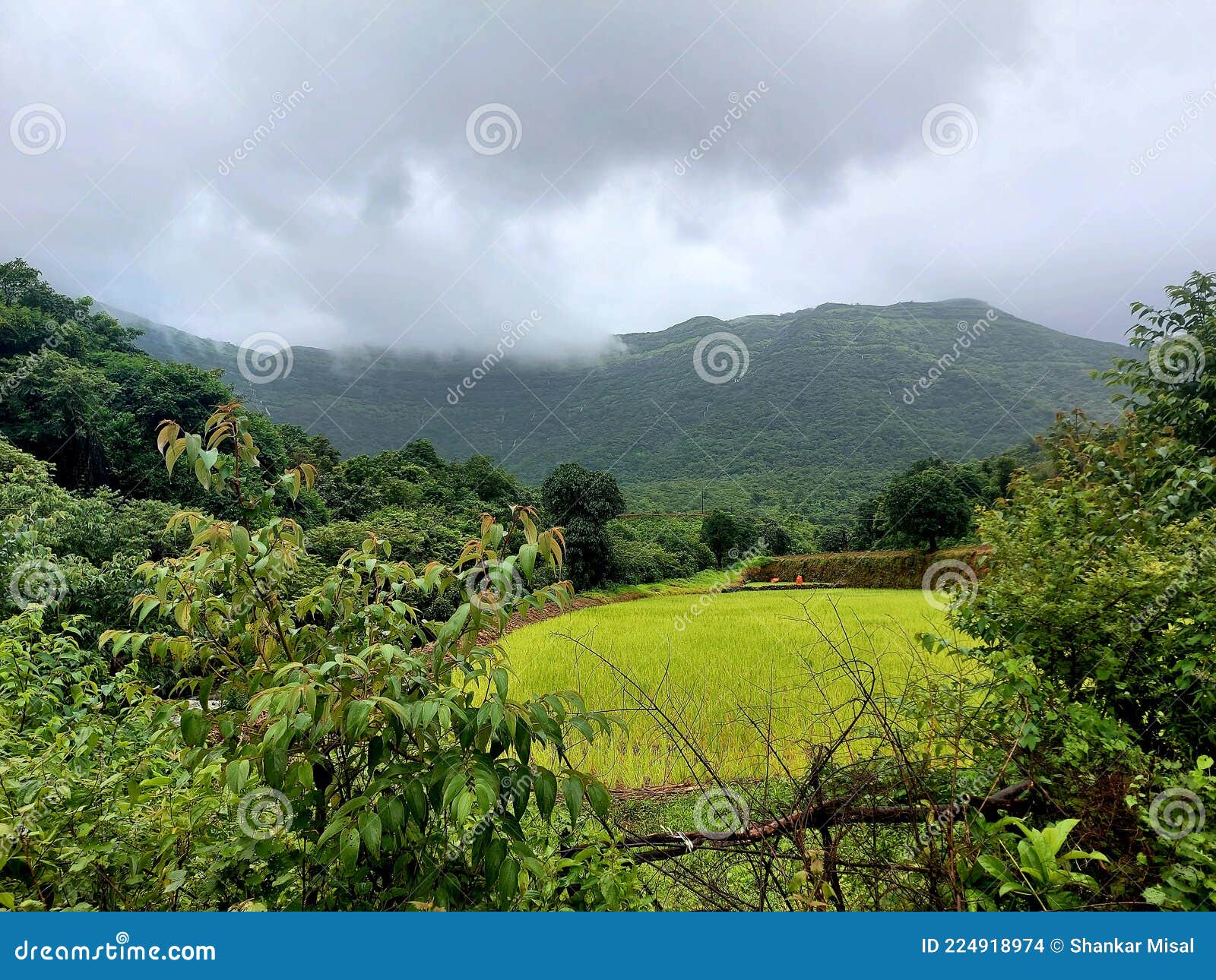 Landscape Scene in Manson Season Stock Photo - Image of nature, green ...