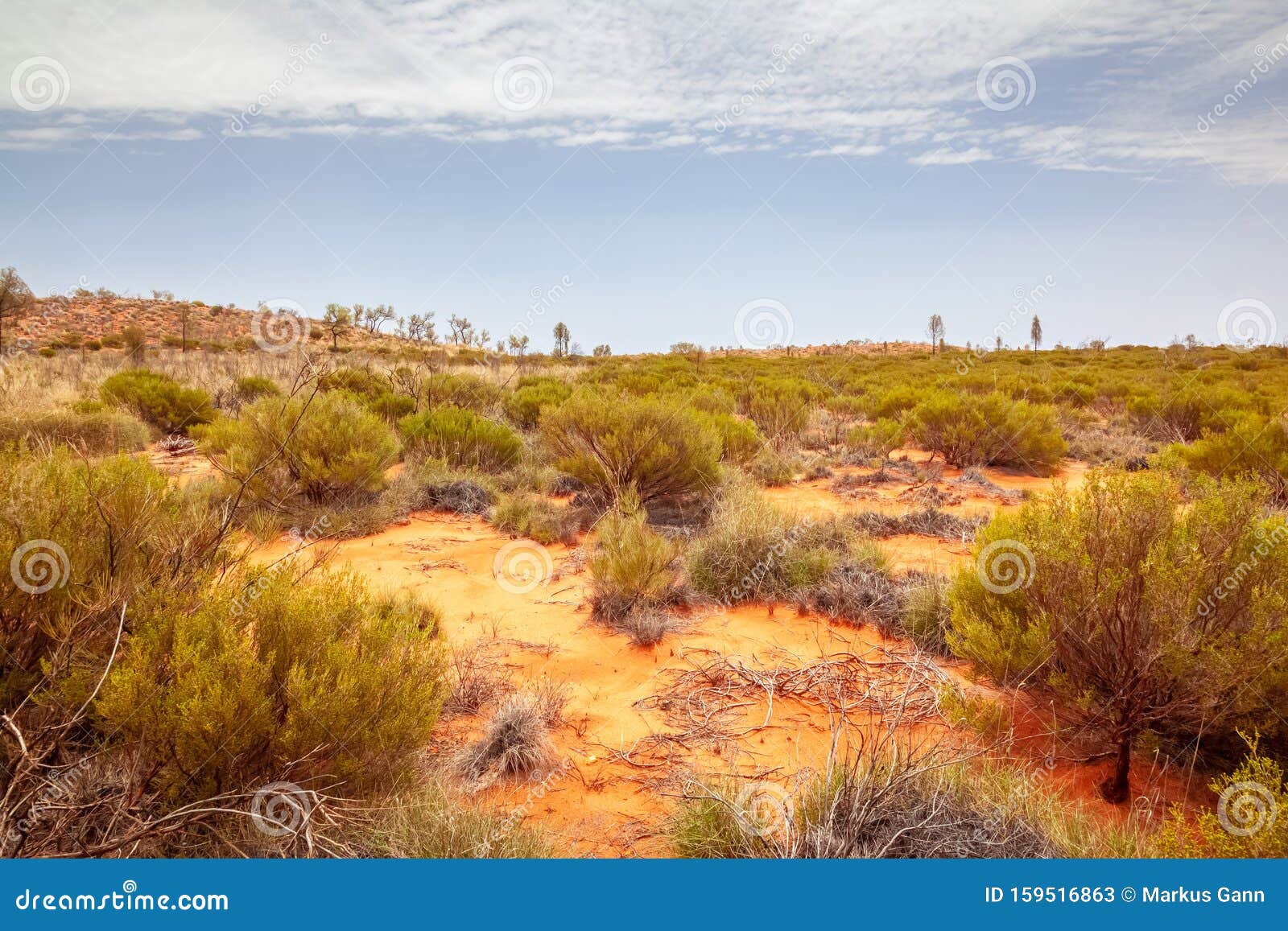 Landscape Scenery of the Australia Outback Stock Image - Image of bush ...