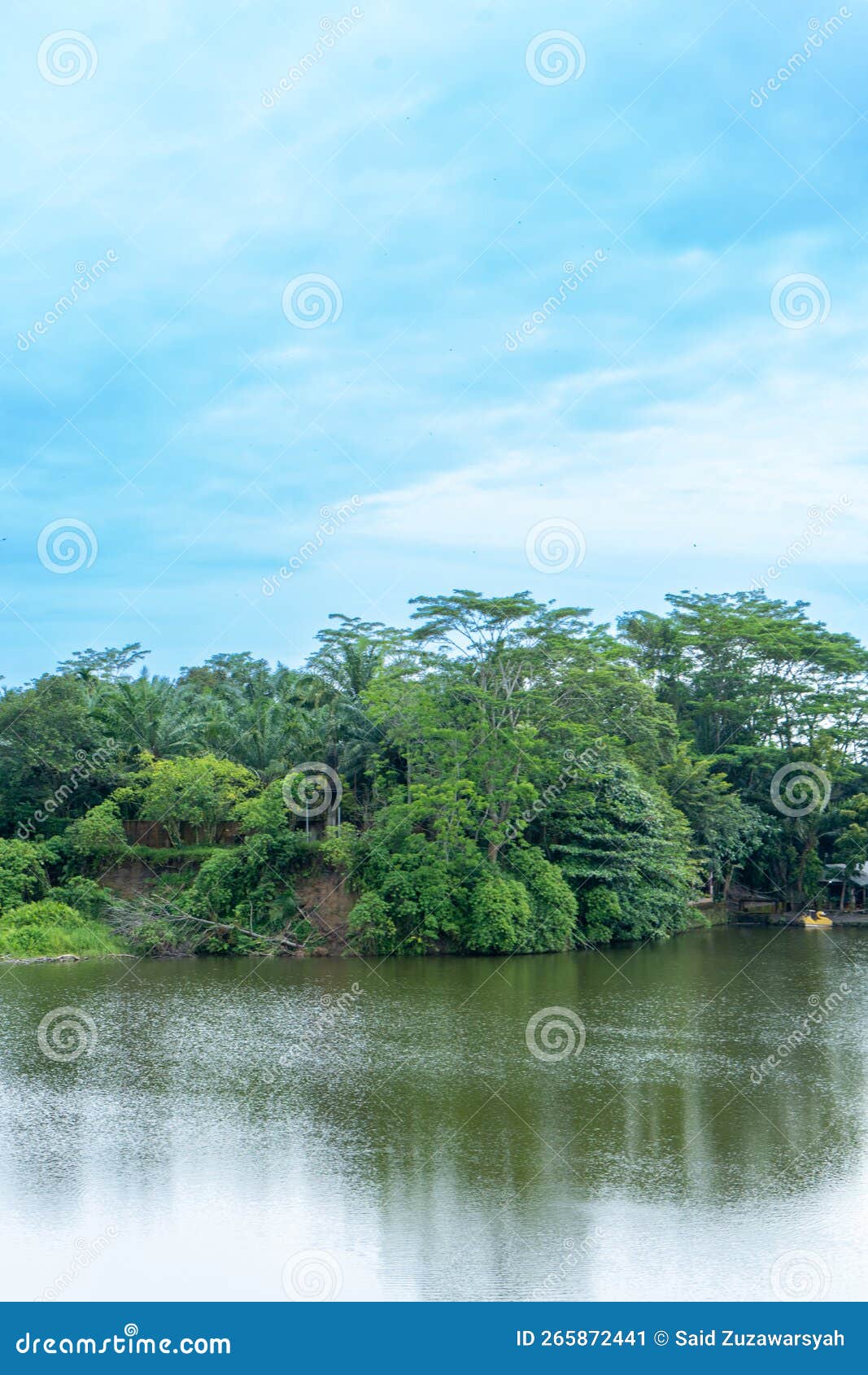 A Landscape Scenery with a Lot of Trees and a Lake Stock Image - Image ...