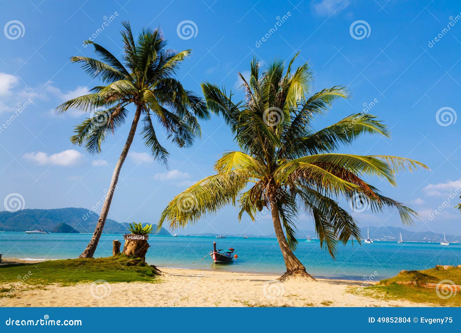 Landscape the Sea, the Boat, a Palm Tree in Phuket Stock Photo - Image ...