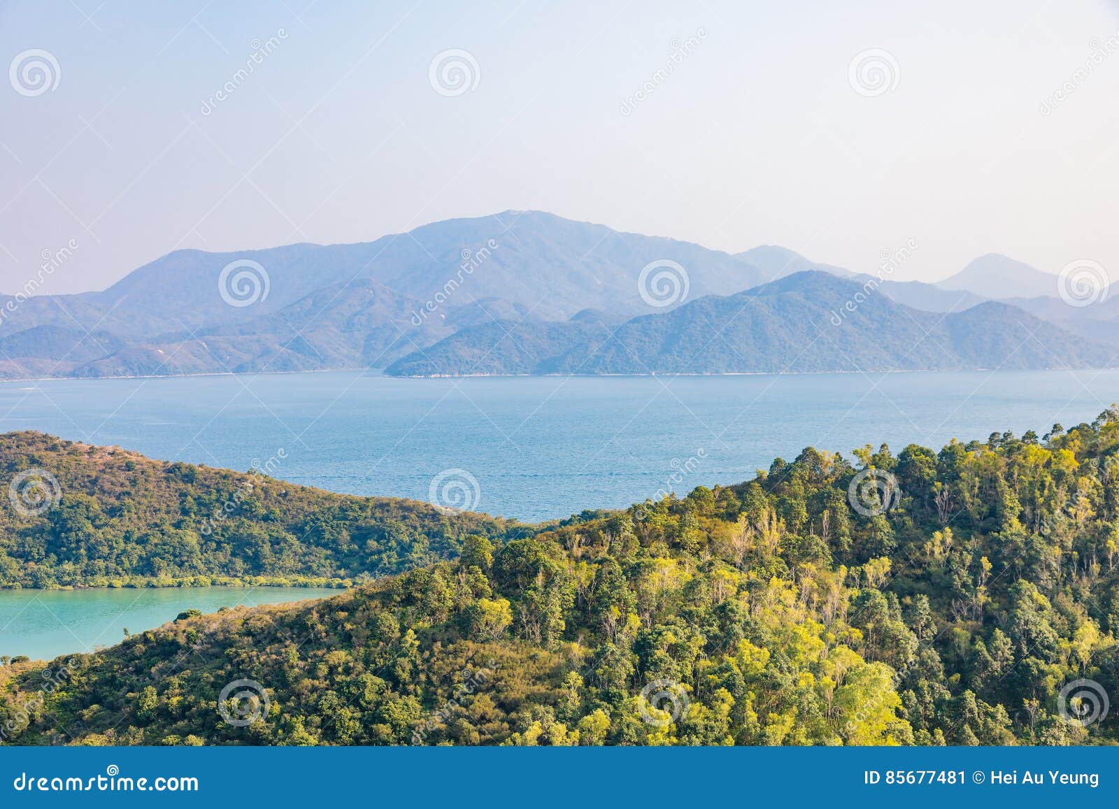 Landscape, sea, and forest stock image. Image of grass - 85677481