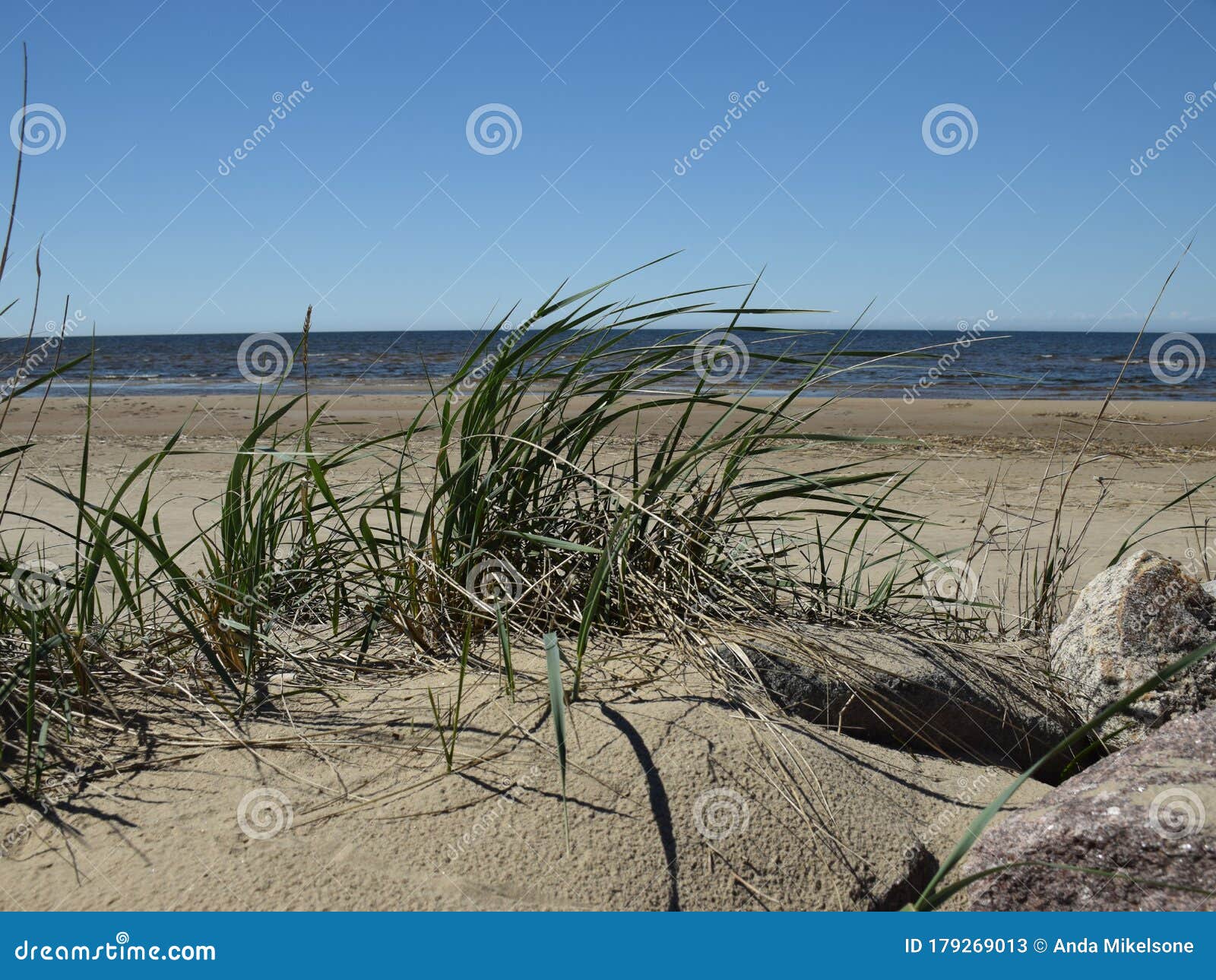 Landscape with sea shore stock image. Image of seashore - 179269013
