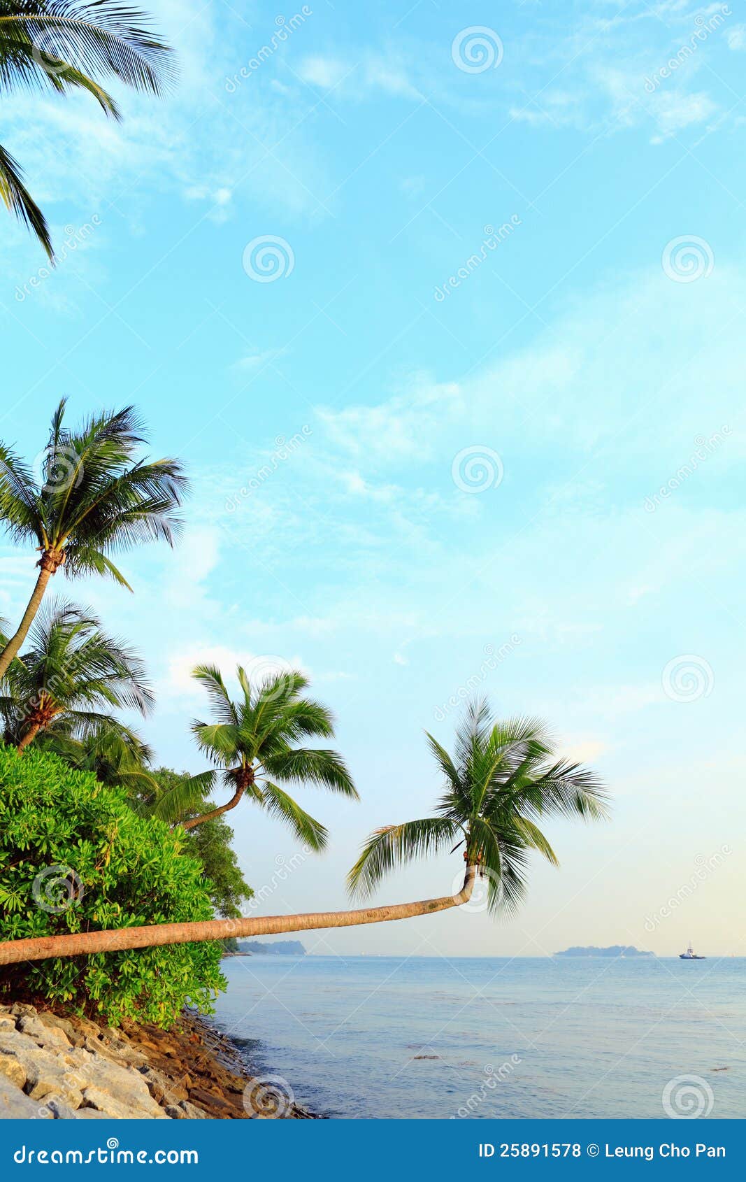 Landscape in Sentosa, Singapore Stock Photo - Image of island, green ...