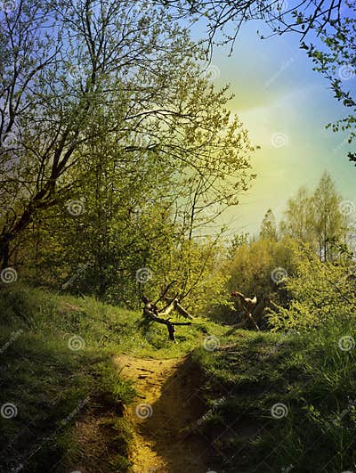 Landscape with the Setting Sun Stock Image - Image of blue, setting ...