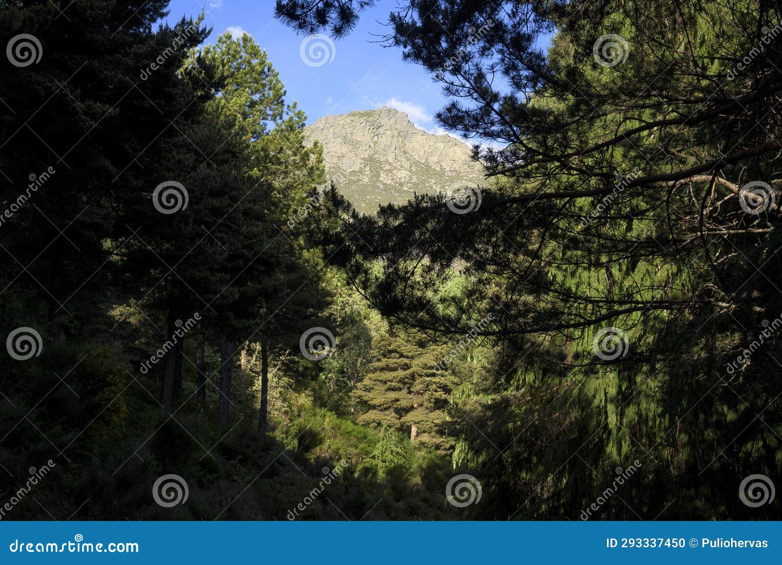 Landscape in Shadow Forest with Light Glade Towards Sunny Granite ...