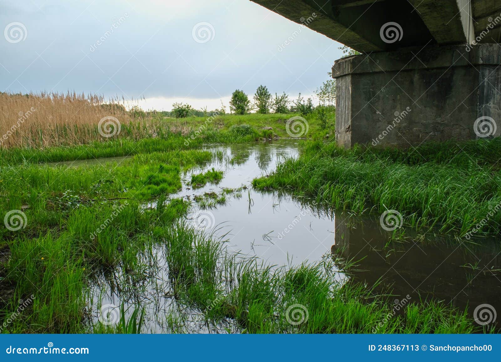 Landscape of a Shallow River Under a Bridge. Stock Image - Image of ...