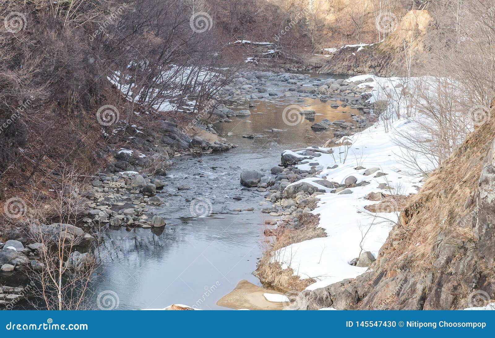 Landscape of Shallow Stream with Dry Tree in Snowy Day Stock Photo ...